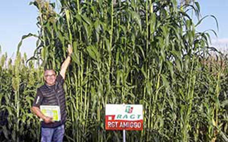 Mes Solutions RAGT - Méthanisation, analyse et expertise RAGT